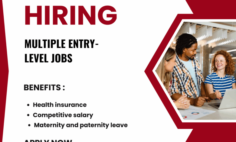 The Danish Refugee Council (DRC) Multiple Entry-level jobs for 2025 ...