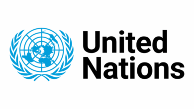 United Nations Is Hiring Multiple Consultant Jobs for 2026. Apply Now ...