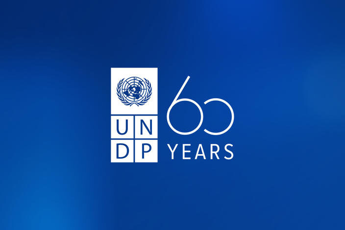 UNDP Paid Internship 2026 | New York / Home-Based Effective Development ...