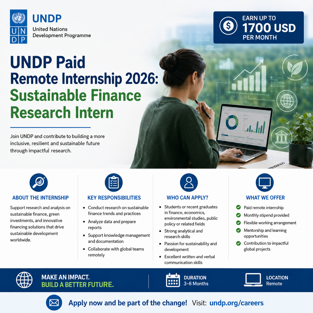 UNDP Paid Remote Internship 2026: Sustainable Finance Research Intern ...