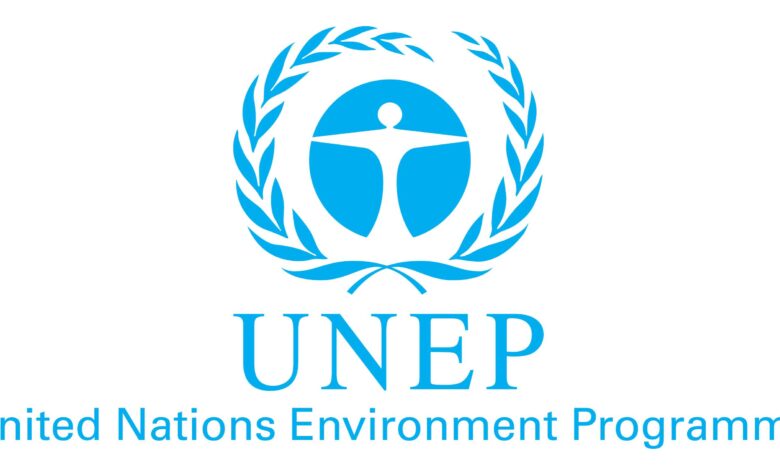 UNEP Remote Internship Job 2026: Consumer Information Internship for ...